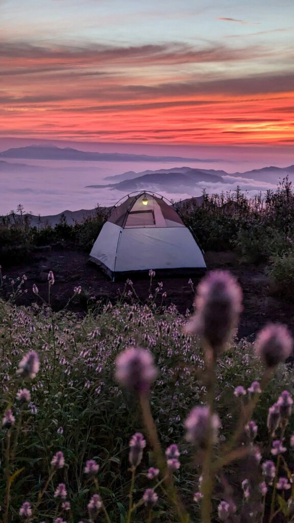 The 10 Day Hike Essentials You Should Never Skip - Trail Owl